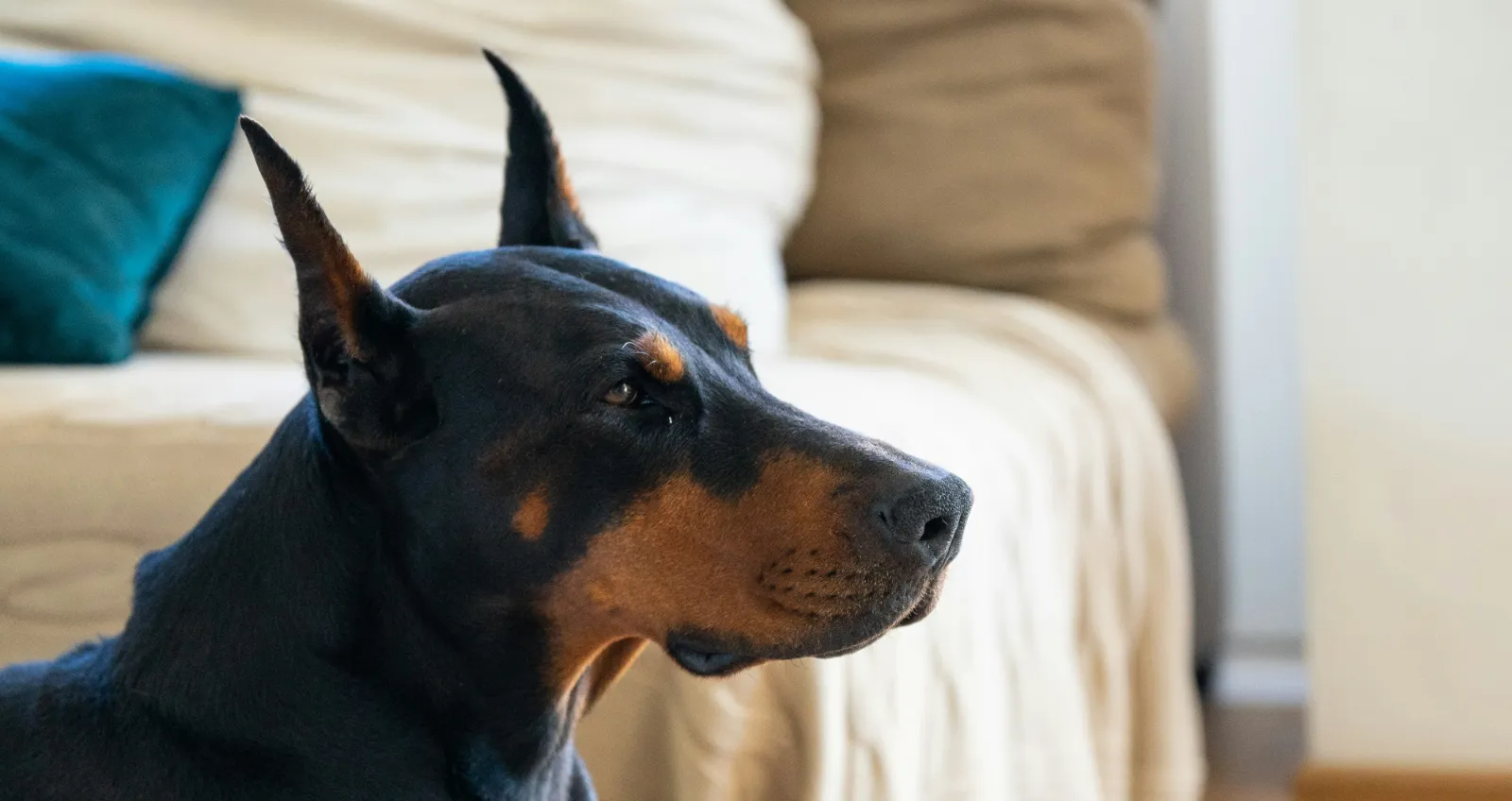 Quiz, November 16th | Take the Quiz | QuizMaker